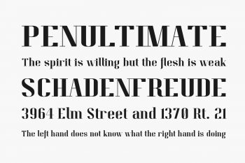 Pitch Display | Fonts Shmonts