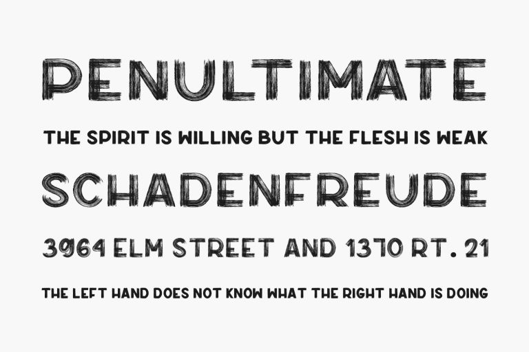 True South | Fonts Shmonts