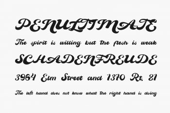 Vintage Wheel | Fonts Shmonts