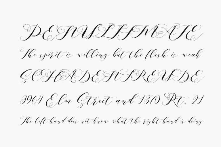 Aidan | Fonts Shmonts