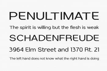 Conceptual Progressive | Fonts Shmonts