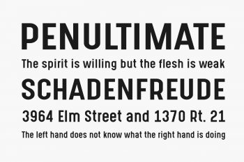 Gotcha Gothic | Fonts Shmonts