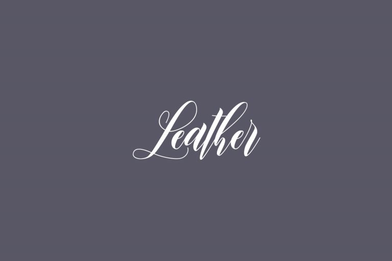 Leather | Fonts Shmonts