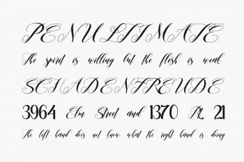 Leather | Fonts Shmonts