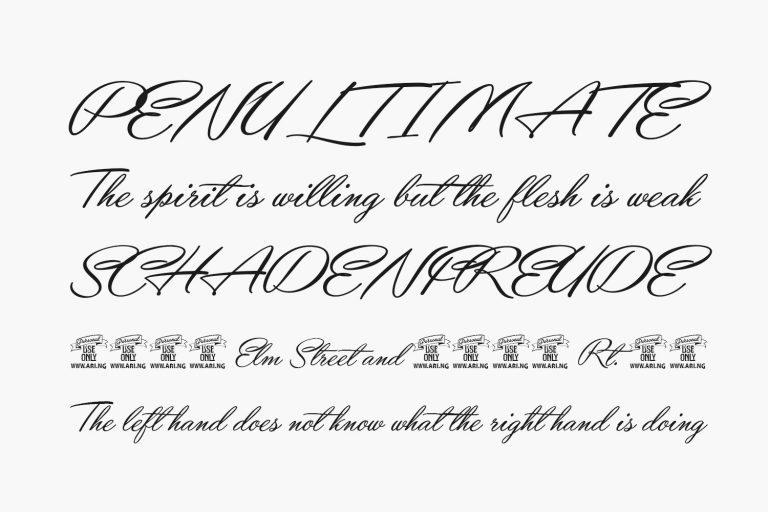 Yaquote Script | Fonts Shmonts