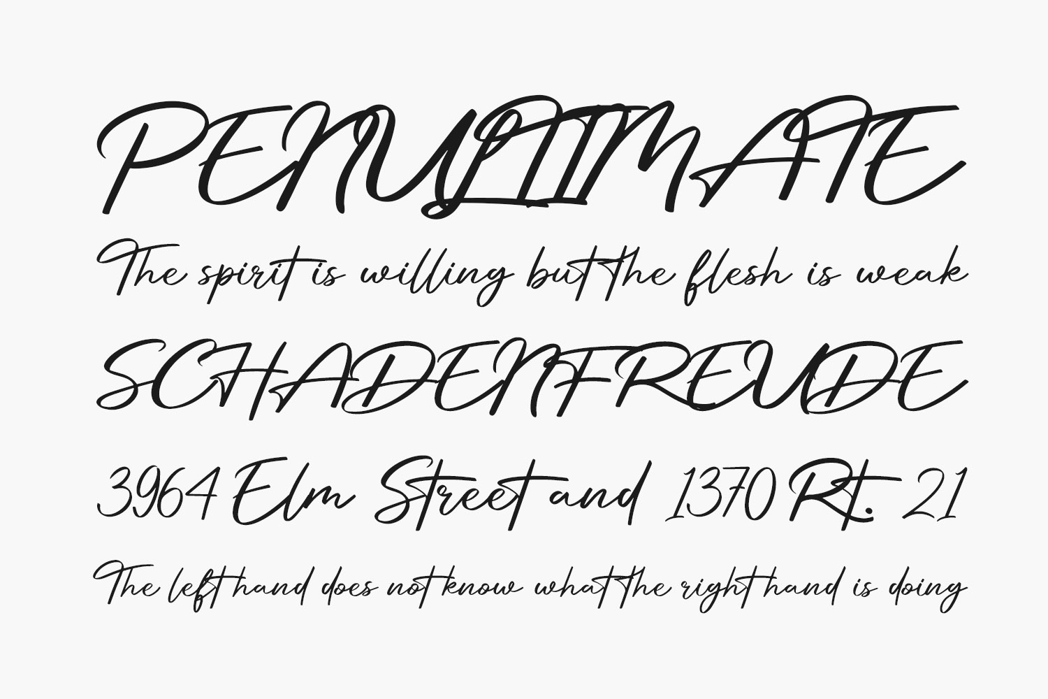 Procreate signature free font 02 Fonts Shmonts