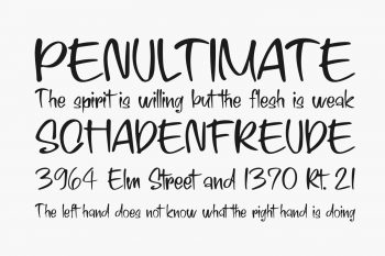 Signature Black | Fonts Shmonts