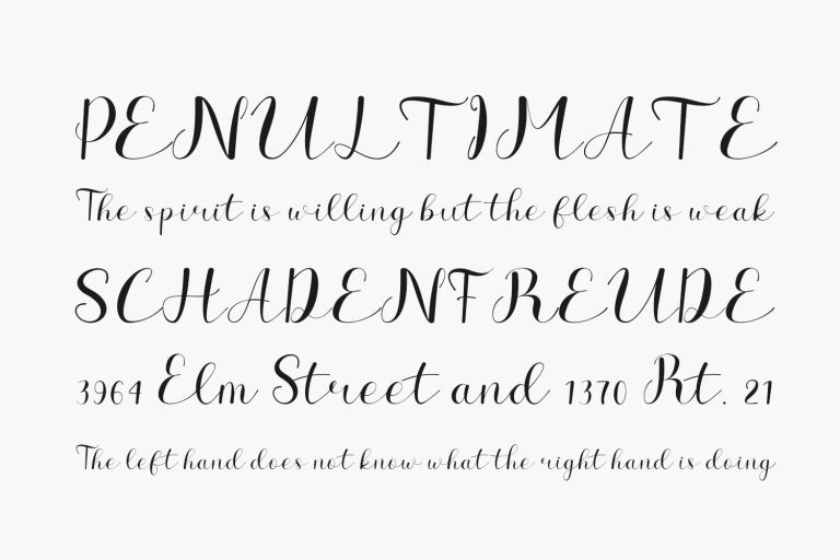 The Charlotte | Fonts Shmonts