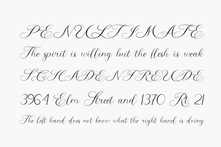 Caroline | Fonts Shmonts