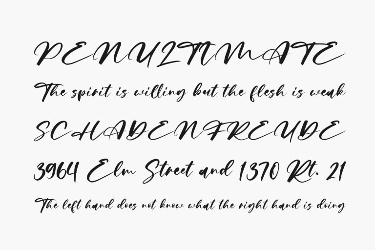 Limited Edition | Fonts Shmonts