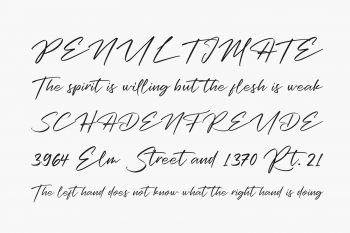 Christopher Signature | Fonts Shmonts