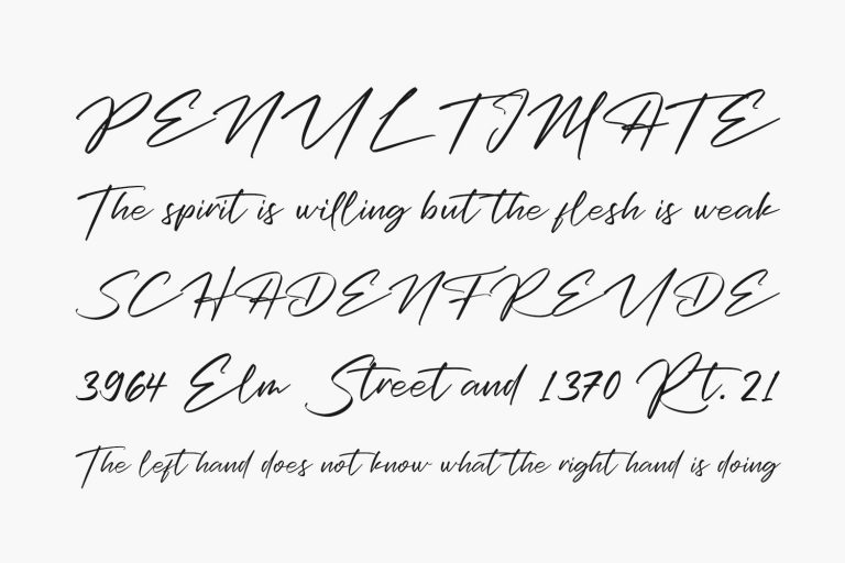 Christopher Signature | Fonts Shmonts
