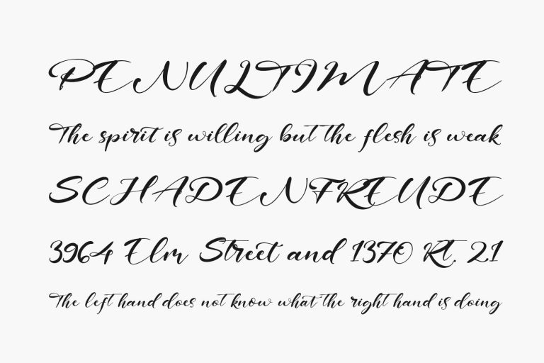 sage-leaves-free-font-02 | Fonts Shmonts