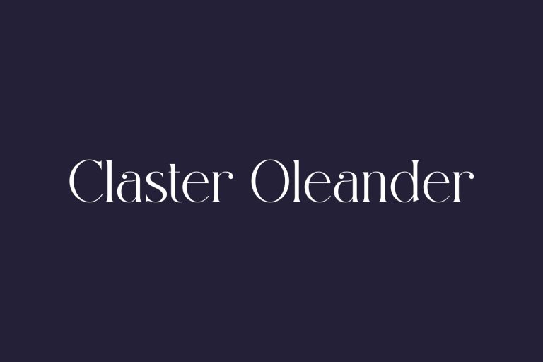 Claster Oleander | Fonts Shmonts