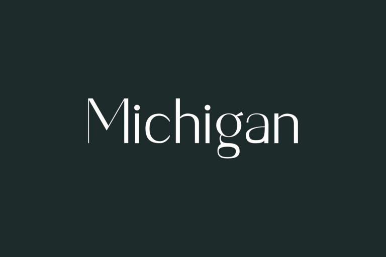 Michigan | Fonts Shmonts