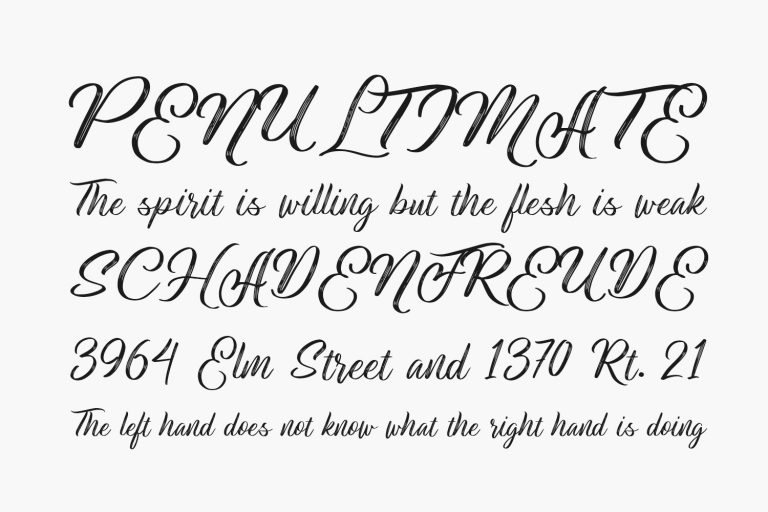 White Monkey | Fonts Shmonts