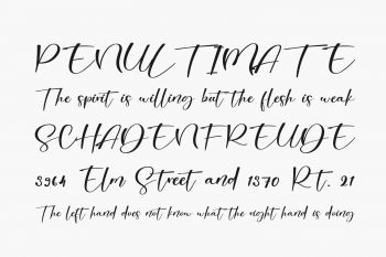Best Moment | Fonts Shmonts