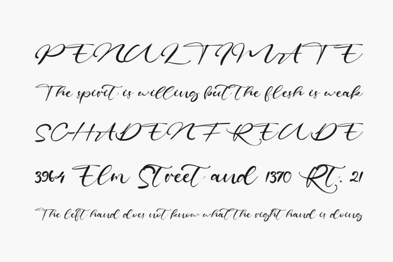 Castillo | Fonts Shmonts