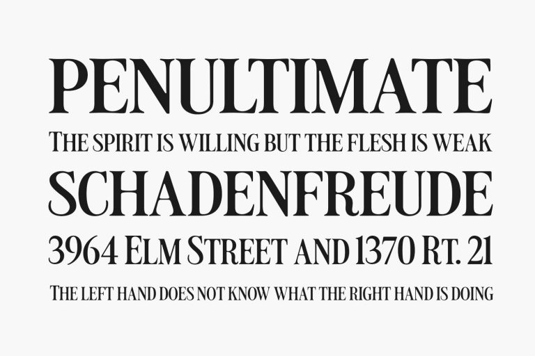 Carpet | Fonts Shmonts