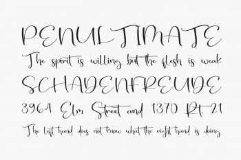 Natural Signature | Fonts Shmonts