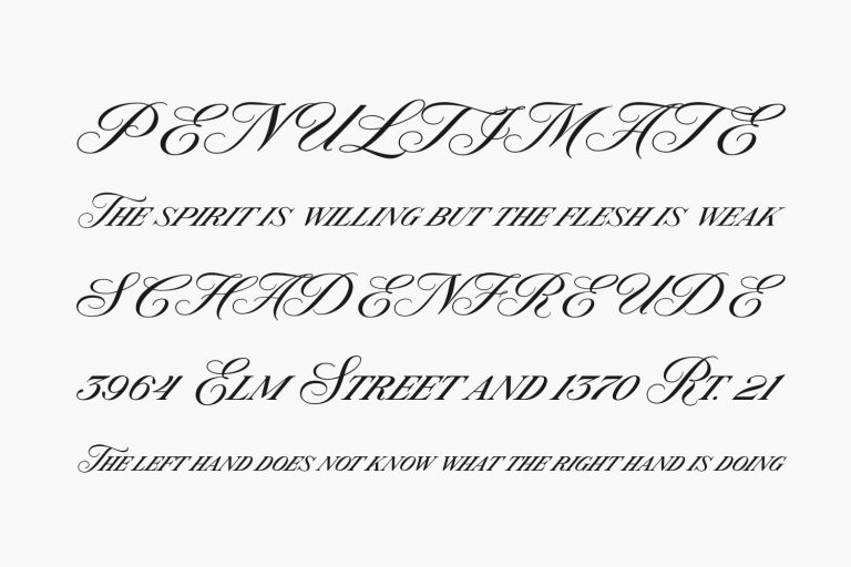 Modern Prestige | Fonts Shmonts