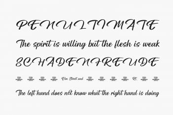 Blestive Script Free Font | Fonts Shmonts