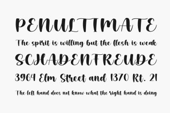 Comfort Zone | Fonts Shmonts