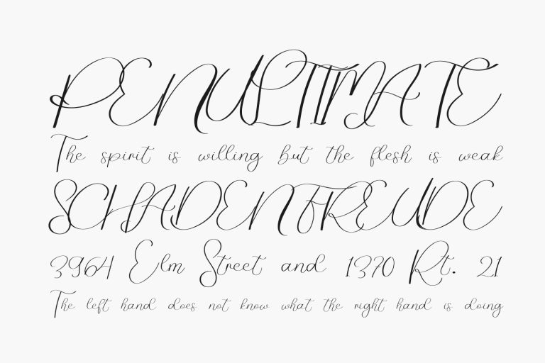 Family Caligraphy | Fonts Shmonts