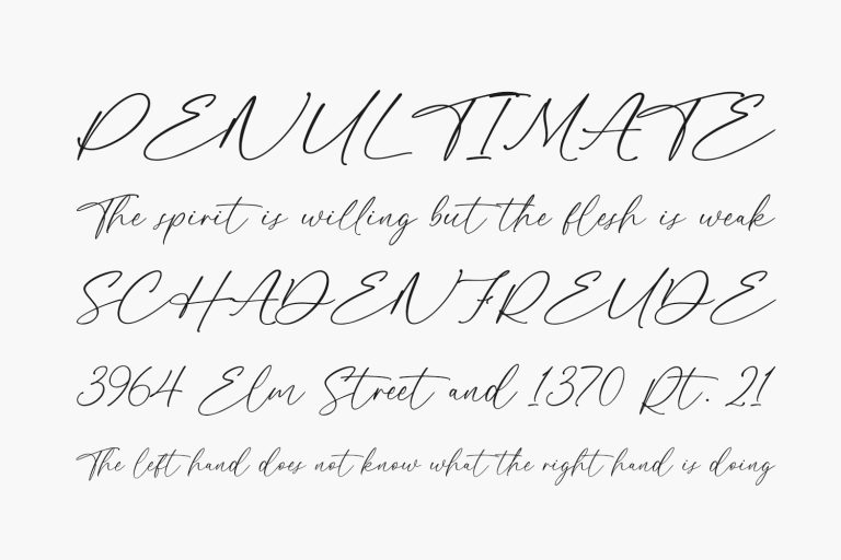Hamilton | Fonts Shmonts