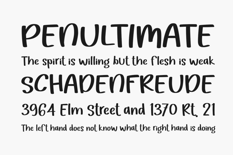 Laura Barbara | Fonts Shmonts