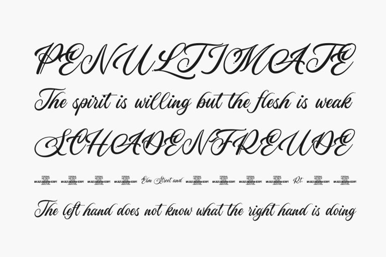 Lombardia Script | Fonts Shmonts
