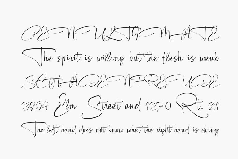 Rogelio Script | Fonts Shmonts