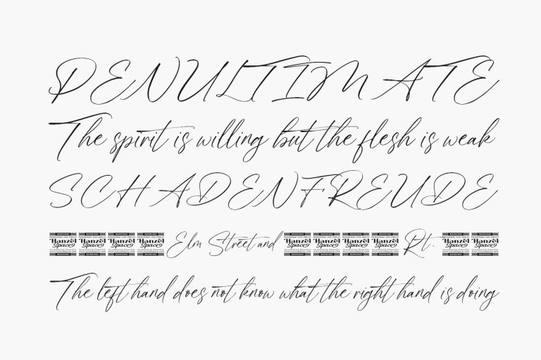 Silhouette | Fonts Shmonts