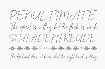 Alexander Lettering | Fonts Shmonts