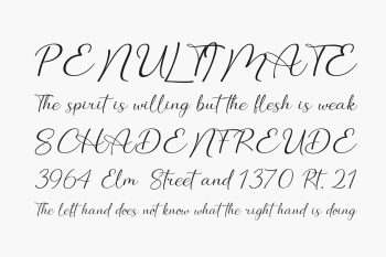 Daylin | Fonts Shmonts