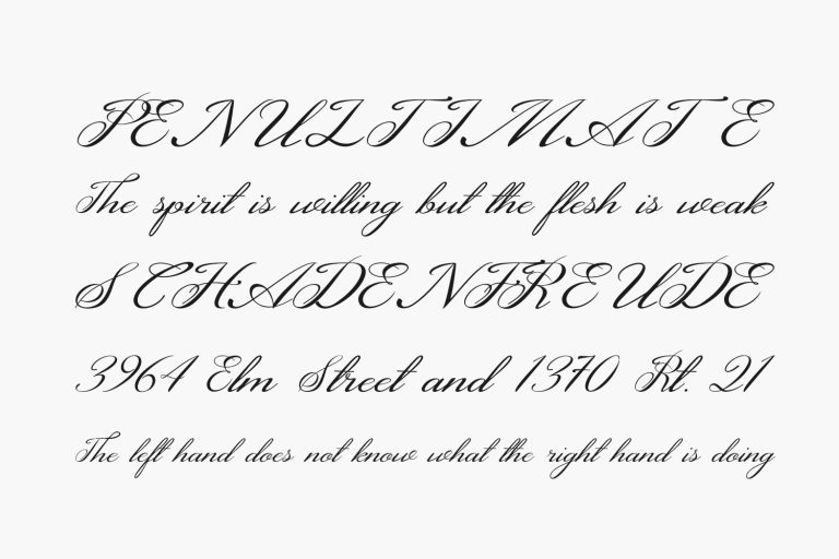 Nadine | Fonts Shmonts