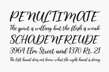 Natalic Script | Fonts Shmonts