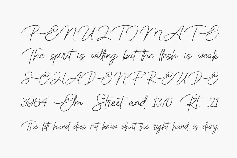 Paragraphy | Fonts Shmonts