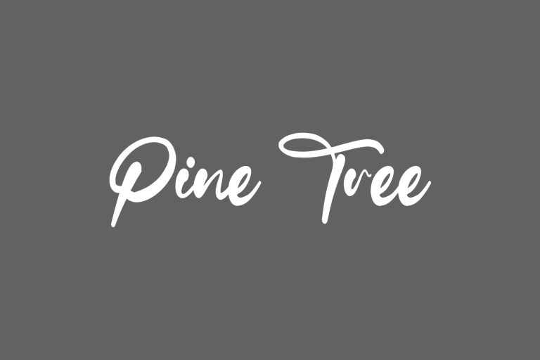 Pine Tree | Fonts Shmonts