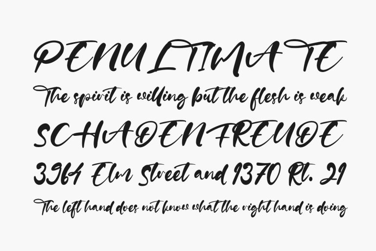 Pine Tree | Fonts Shmonts