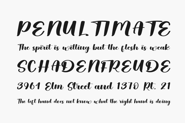 Daisy | Fonts Shmonts