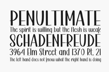 Simple Minimalist | Fonts Shmonts