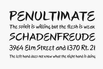 Eurovision | Fonts Shmonts