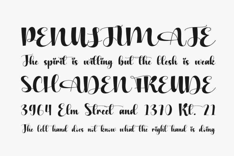 Violin | Fonts Shmonts