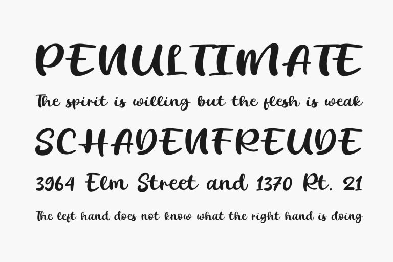 The Sally | Fonts Shmonts