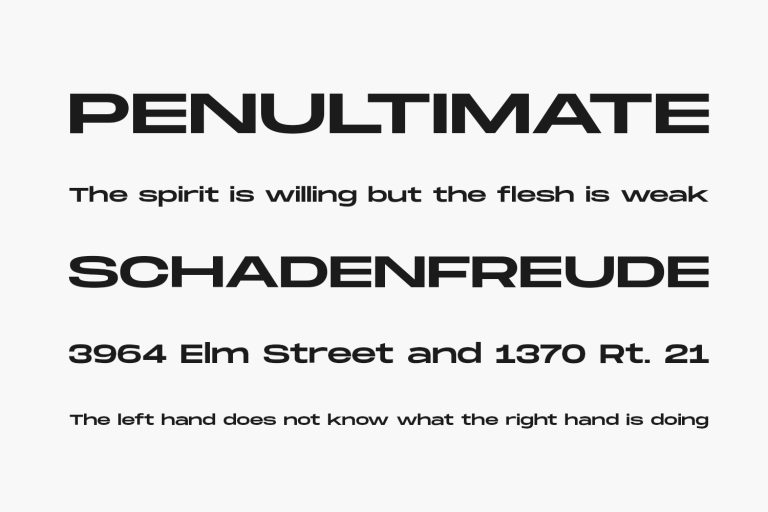Monument Extended Free Font Family | Fonts Shmonts