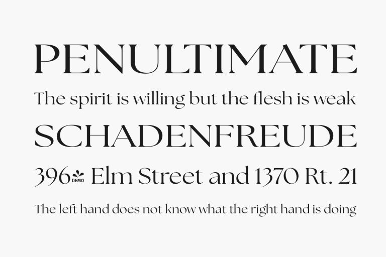 The Seasons Free Font Family | Fonts Shmonts