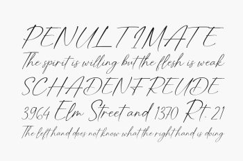 Better Smile Free Font | Fonts Shmonts