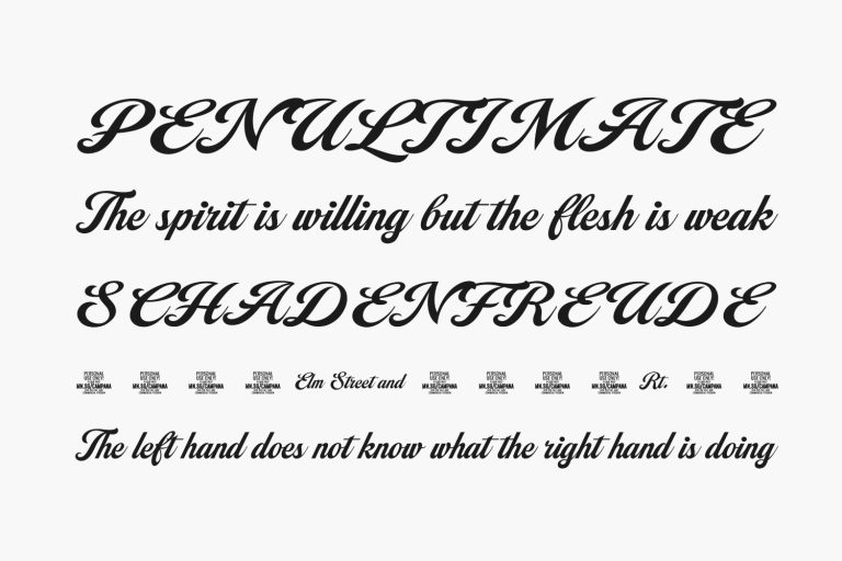 Campana Script Free Font | Fonts Shmonts