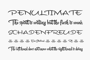 Juicebox Script Free Font | Romantic Script for Logos & Packaging